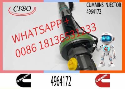 China Common Rail Injector 2882079 4964172 4964170 4955524 2867148 2867149 4964171 for QSK19 QSK38 QSK50 QSK60 for Excavator Parts for sale