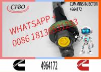 China Common Rail Injector 2882079 4964172 4964170 4955524 2867148 2867149 4964171 for QSK19 QSK38 QSK50 QSK60 for Excavator Parts for sale