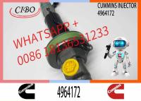 China Common Rail Injector 2882079 4964172 4964170 4955524 2867148 2867149 4964171 for QSK19 QSK38 QSK50 QSK60 for Excavator Parts for sale