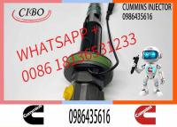 China Fuel Injector 0986435616 0986435905 0986435612 0986435611 4964171 F00BL0J018 F00BL0J017 for QSK19 QSK38 QSK50 QSK60 Engine for sale