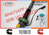 China Fuel Injector Y431K06139 4089972 4928106 F00BL0J018 4380191 Y431K05858 for Generator Parts for sale