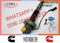 China Fuel Injector Y431K06139 4089972 4928106 F00BL0J018 4380191 Y431K05858 for Generator Parts for sale