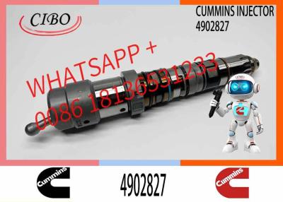 China Injector Nozzle Assembly 6560-11-1114 4902827 4077076 4062090 6560-11-1110 QSK19 QSK23 QSK60 Engine Series for sale
