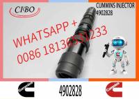 China Diesel Fuel Injector 4902827 4902828 For Cummin-s QSK23 QSK60 Diesel Engine for sale