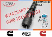 China Diesel Fuel Injector 4902827 4902828 For Cummin-s QSK23 QSK60 Diesel Engine for sale