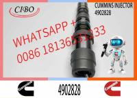 China Diesel Fuel Injector 4902827 4902828 For Cummin-s QSK23 QSK60 Diesel Engine for sale