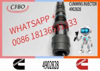 China Diesel Fuel Injector 4902827 4902828 For Cummin-s QSK23 QSK60 Diesel Engine for sale