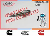 China High Pressure Fuel Pump 2897414 4327072 4821827 4928421 for sale