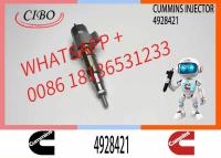 China High Quality Diesel Fuel Injector Nozzle Assembly Common Rail Injector 4928421 4921827 for sale