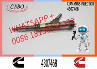 China C-ummins Engine Original Fuel Injector 4307468 5491515 4307475 for sale