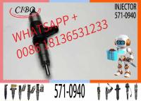 China Engine Diesel Common Rail Injector Model 571-0940 295700-1200 418-3229 295050-1810 370-7287 295050-0421 for sale