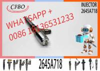China Fuel Injector 2645A718 2645A734 2645A747 for sale
