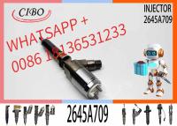 China High Quality New Fuel System Parts Diesel Fuel Injector 282-0490 2645A709 for Diesel Engine for sale