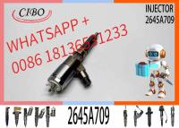 China High Quality New Fuel System Parts Diesel Fuel Injector 282-0490 2645A709 for Diesel Engine for sale