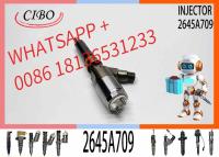 China High Quality New Fuel System Parts Diesel Fuel Injector 282-0490 2645A709 for Diesel Engine for sale