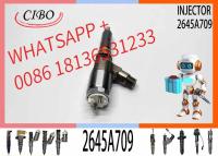 China High Quality New Fuel System Parts Diesel Fuel Injector 282-0490 2645A709 for Diesel Engine for sale