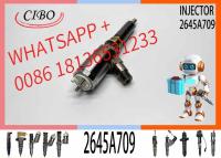 China High Quality New Fuel System Parts Diesel Fuel Injector 282-0490 2645A709 for Diesel Engine for sale