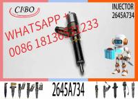 China Engine Diesel Inyector Common Rail Fuel Injector 10R-7672 306-9380 2645A734 for Excavator for sale