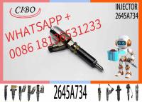 China Engine Diesel Inyector Common Rail Fuel Injector 10R-7672 306-9380 2645A734 for Excavator for sale