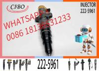 China 222-5961 Common Rail Fuel Injectors 241-3238 Diesel Injector 241-3239 241-3400 243-4502 for sale