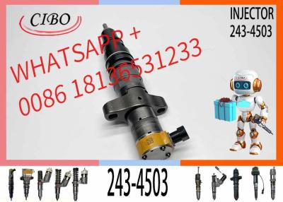 China Engine Injectors 217-2570 235-2888 387-9429 3879433 293-4071 387-9427 243-4503 20R-8067 263-8218 387-9441 for sale