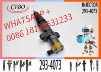 China Excavator Fuel Inyector Nozzle diesel C9 Engine Gp Fuel Injector 293-4073 10R-7223 for sale