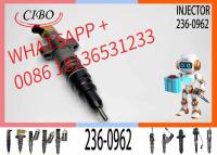 China Diesel Injector 387-9427 263-8216 263-8218 236-0962 10r-7221 for sale