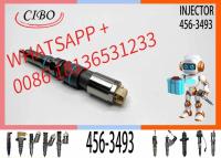 China Quality Common Rail Fuel Injector 363-0493 456-3493 20R-5036 for sale