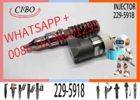 China New Common Rail Fuel Injector 223-5328 229-5918 20R-0055 10R-0725 for C12 Diesel Engine for sale