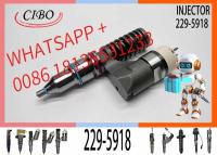 China New Common Rail Fuel Injector 223-5328 229-5918 20R-0055 10R-0725 for C12 Diesel Engine for sale