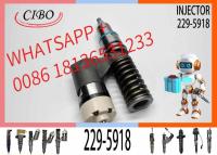 China New Common Rail Fuel Injector 223-5328 229-5918 20R-0055 10R-0725 for C12 Diesel Engine for sale