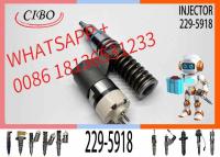 China New Common Rail Fuel Injector 223-5328 229-5918 20R-0055 10R-0725 for C12 Diesel Engine for sale