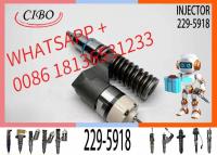 China New Common Rail Fuel Injector 223-5328 229-5918 20R-0055 10R-0725 for C12 Diesel Engine for sale