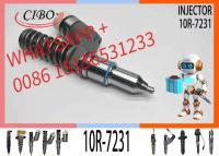 China C18-3487 Common Rail Nozzle 226T903487 for C18 253-0618 10R-7231 for sale