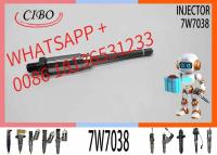 China Fuel Injector 8N7005 7W7045 7W7038 4W7037 4W7031 4W7021 1705183 1305187 for 3400 Nozzle for sale