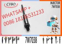 China Fuel Injector 8N7005 7W7045 7W7038 4W7037 4W7031 4W7021 1705183 1305187 for 3400 Nozzle for sale