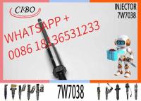 China Fuel Injector 8N7005 7W7045 7W7038 4W7037 4W7031 4W7021 1705183 1305187 for 3400 Nozzle for sale