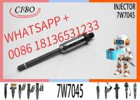 China Fuel Injector 8N7005 7W7045 7W7038 4W7037 4W7031 4W7021 1705183 1305187 for 3400 Nozzle for sale