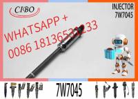 China Fuel Injector 8N7005 7W7045 7W7038 4W7037 4W7031 4W7021 1705183 1305187 for 3400 Nozzle for sale