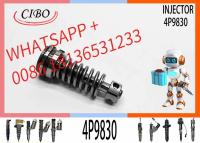 China Excavator Plunger 4P-9830 3306B 3306 Diesel Fuel Injection Pump Element Plunger 4P9830 1W6541 for sale
