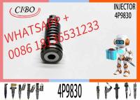 China Excavator Plunger 4P-9830 3306B 3306 Diesel Fuel Injection Pump Element Plunger 4P9830 1W6541 for sale