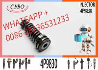 China Excavator Plunger 4P-9830 3306B 3306 Diesel Fuel Injection Pump Element Plunger 4P9830 1W6541 for sale