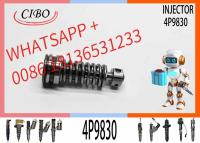 China Excavator Plunger 4P-9830 3306B 3306 Diesel Fuel Injection Pump Element Plunger 4P9830 1W6541 for sale