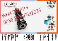 China Excavator Plunger 4P-9830 3306B 3306 Diesel Fuel Injection Pump Element Plunger 4P9830 1W6541 for sale