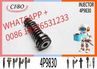 China Excavator Plunger 4P-9830 3306B 3306 Diesel Fuel Injection Pump Element Plunger 4P9830 1W6541 for sale