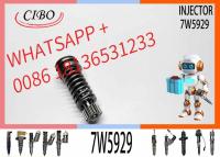 China Construction Machinery Parts Fuel Injection Pump Plunger 4P9830 1W6541 7W5929 for sale