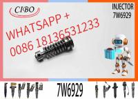 China Fuel Injection Pump Plunger 4P9830 4P-9830 7W6929 for sale