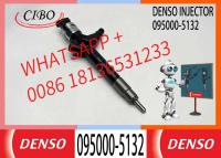China Excavator 095000-0510 095000-5070 095000-5131 095000-5132 095000-5135 Engine Common Rail Fuel Injector 095000-5650 for sale