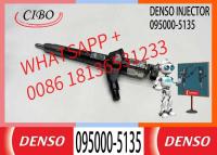China Excavator 095000-0510 095000-5070 095000-5131 095000-5132 095000-5135 Engine Common Rail Fuel Injector 095000-5650 for sale