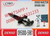 China 095000-5981 for Isuzu 6HK1 4HK1 Common Rail Injector 8-97603099-1 0950005981 8976030991 for sale